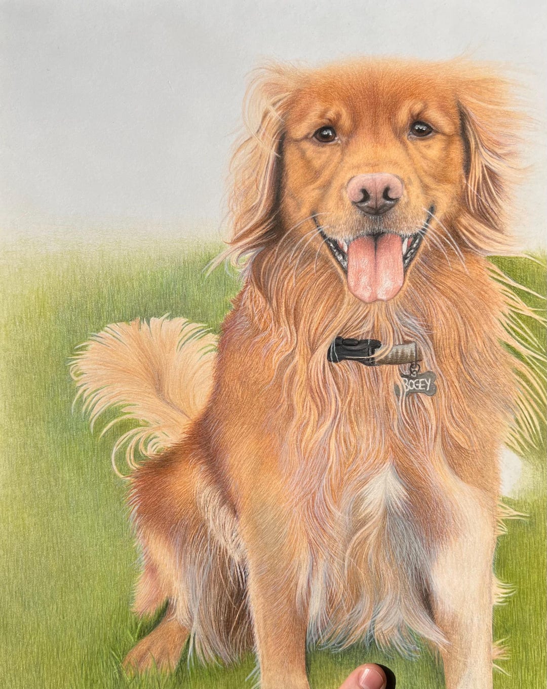 Custom Animal Drawings - Etsy