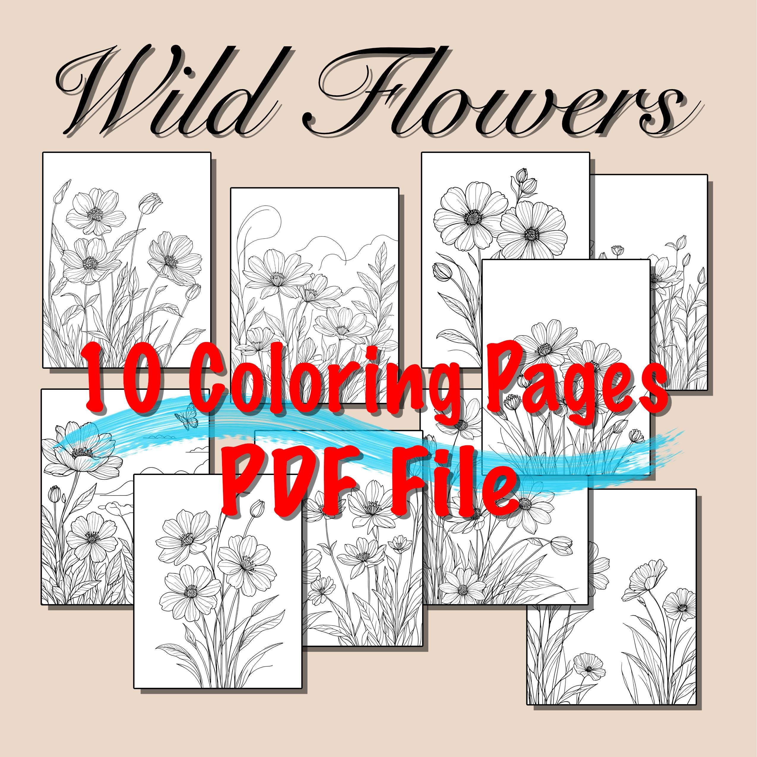Wild Flowers Coloring Pages Wildflowers Adult and Kids Coloring Book ...