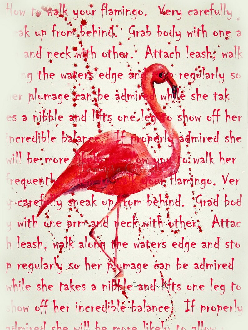 How to Walk Your Flamingo Word Art by Tamyra Crossley. Digital Download ...