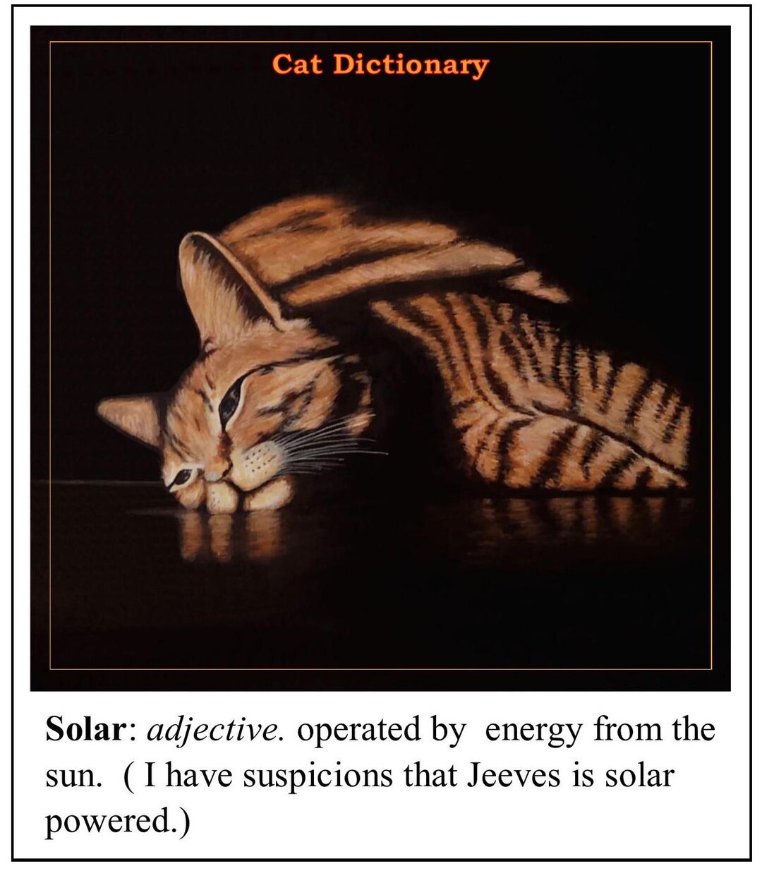 Cat Dictionary Magnet, Solar: Adjective. Operated by Energy From the ...