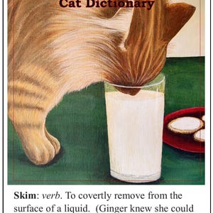 Cat Dictionary Magnet, Skim: Verb. to Covertly Remove From the Surface ...