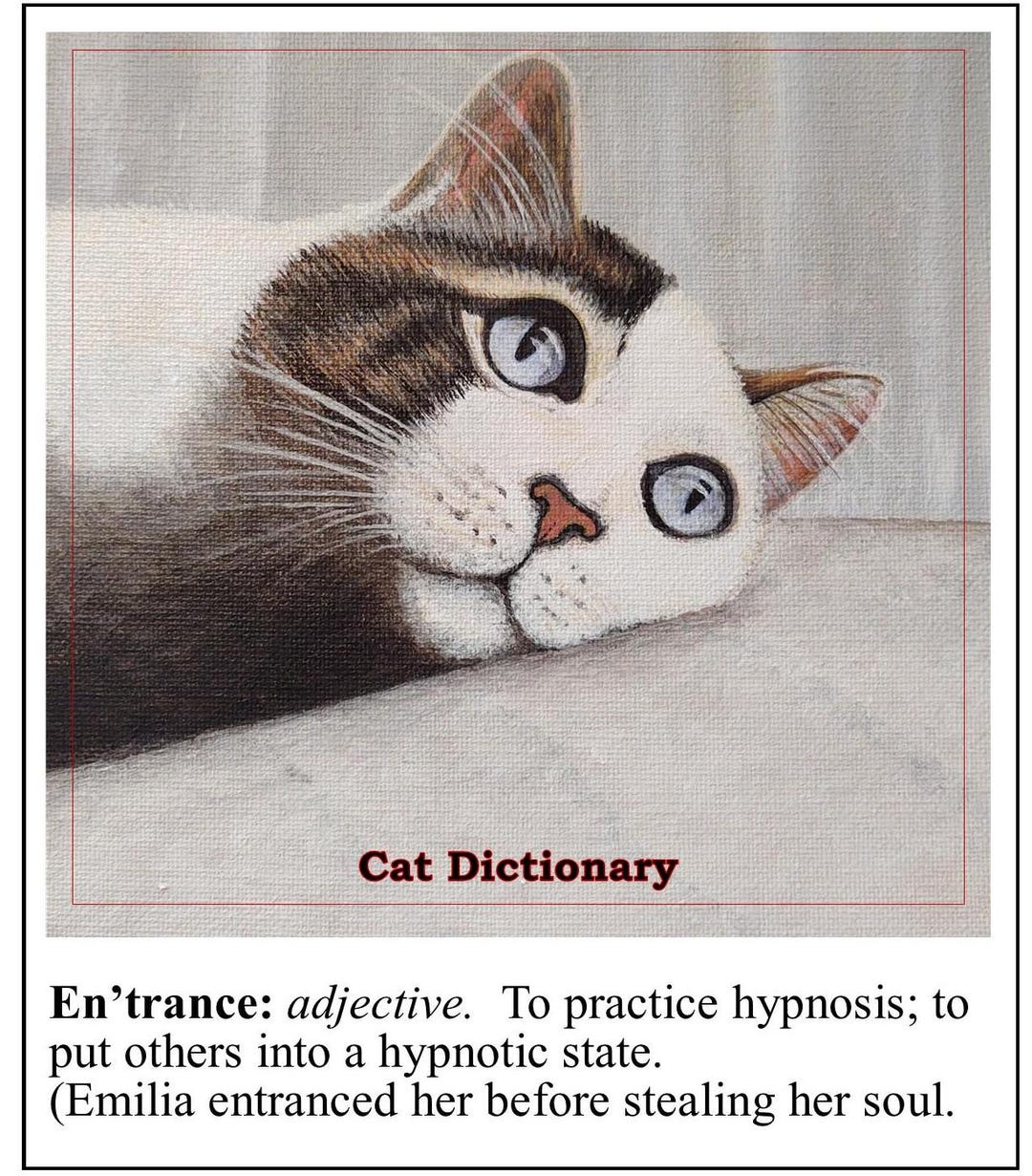 Cat Dictionary Definition Magnet, En'trance: Adjective. to Practice ...