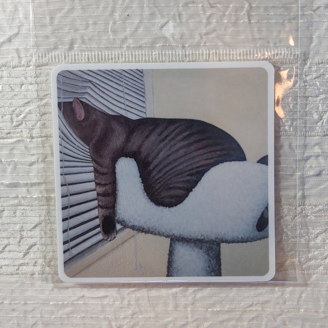 Sticker With Cat Looking Outside. Durable Glossy Vinyl, Waterproof, UV ...