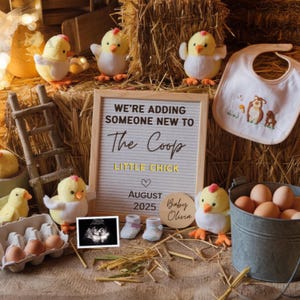 Cute Boho Farm Pregnancy Announcement Digital, New to the Coop Chicken ...