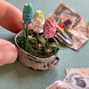 Miniature Hyacinths in the Basin - Etsy