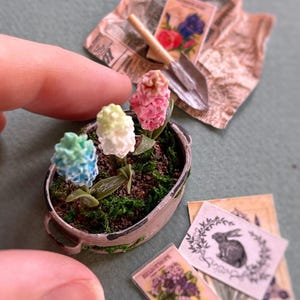 Miniature Hyacinths in the Basin - Etsy