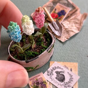 Miniature Hyacinths in the Basin - Etsy