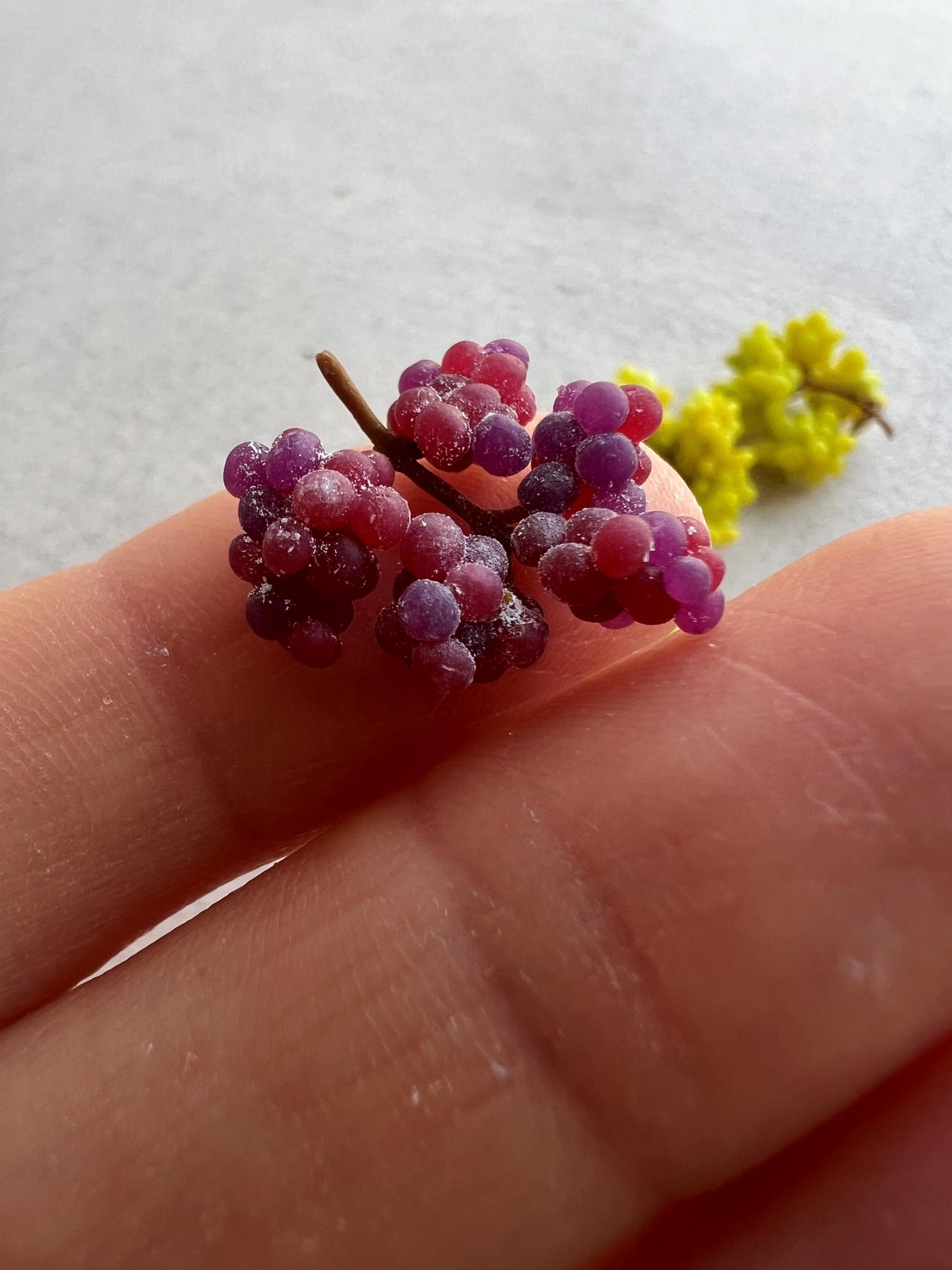 Miniature Grapes 4 Pc - Etsy