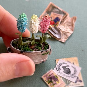 Miniature Hyacinths in the Basin - Etsy