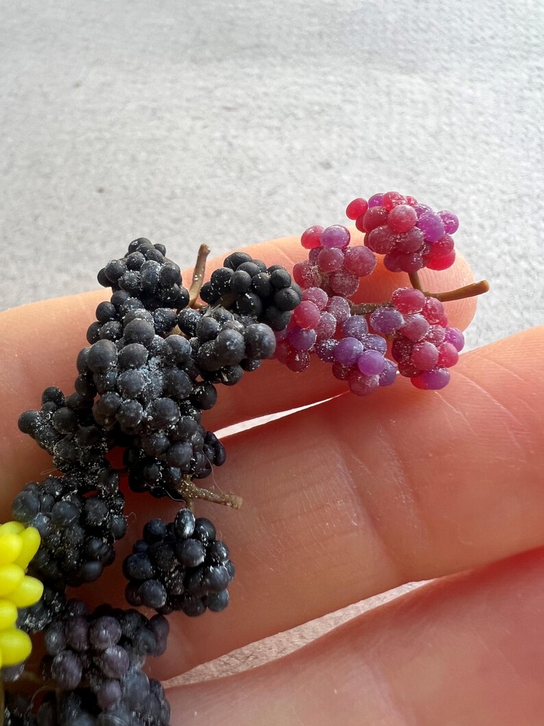 Miniature Grapes 4 Pc - Etsy