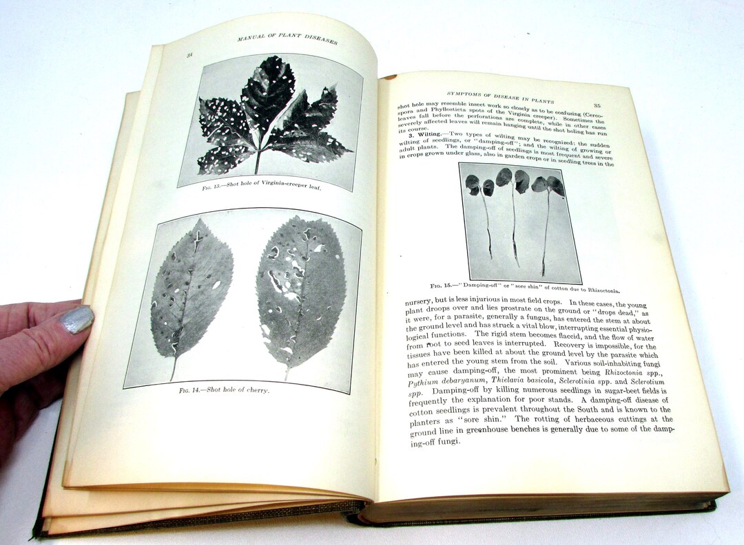 Vintage Book Manual of Plant Diseases, 2nd Edition, 1933 Frederick ...