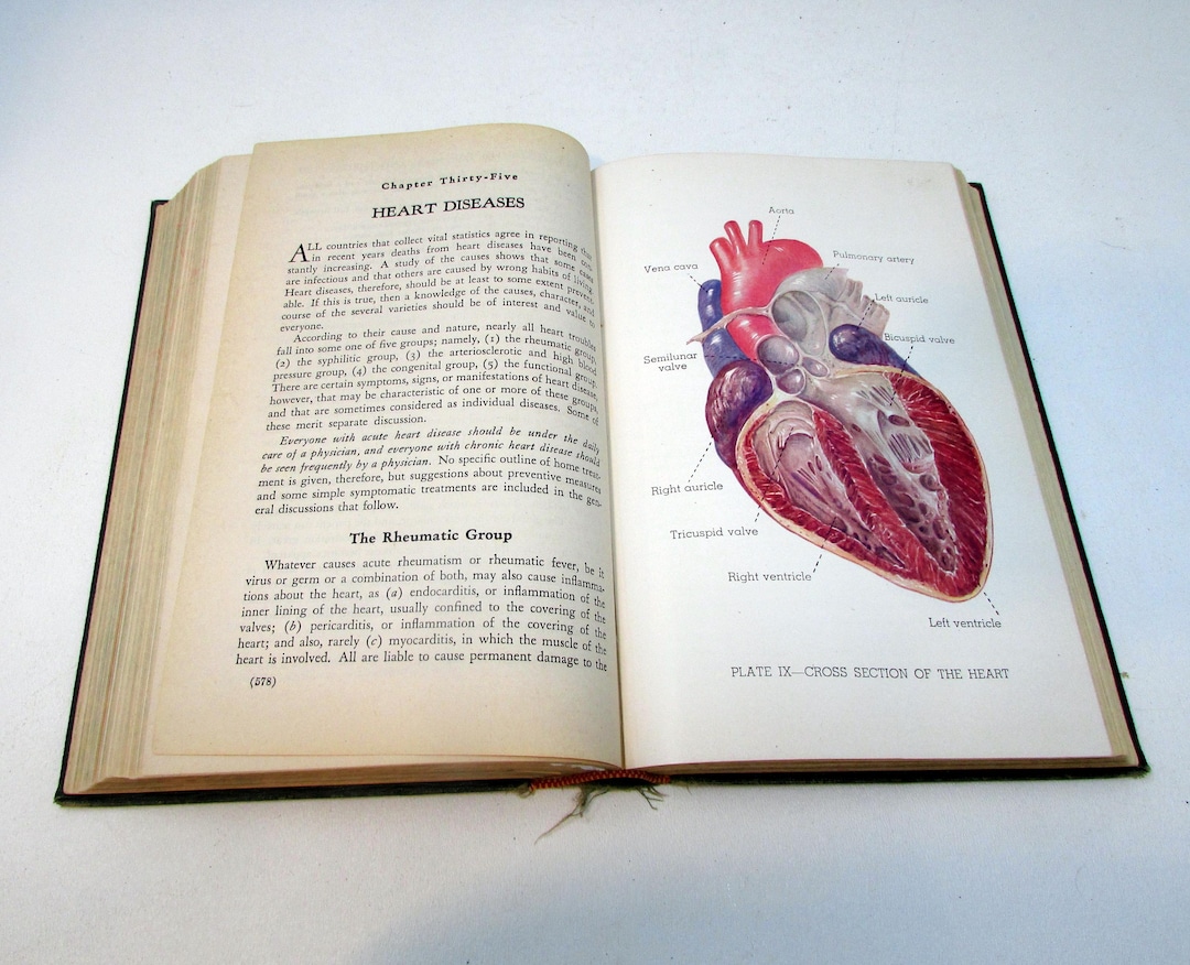 Vintage Medical Book - 1945 Book Modern Medical Counselor by Hubert O ...