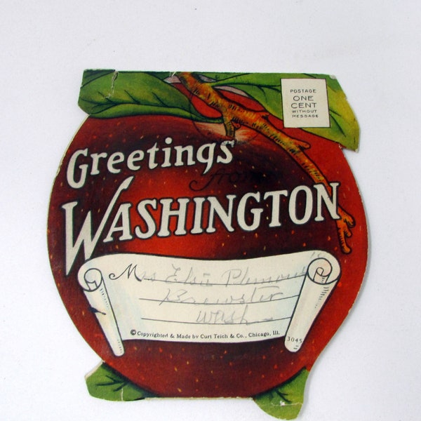 Washington Apple - Etsy