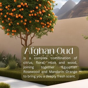 Afghan Oud Perfume Oil: Rich Smoky Woody Unisex Scent - Etsy
