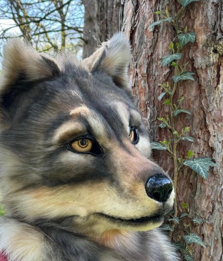 Realistic Wolf Mask. Realistic Fursuit Wolf Mask - Etsy