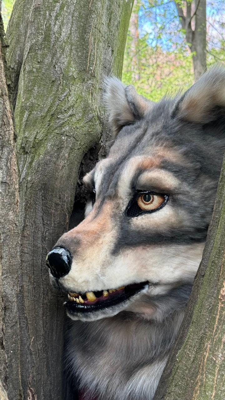 Realistic Wolf Mask. Realistic Fursuit Wolf Mask - Etsy
