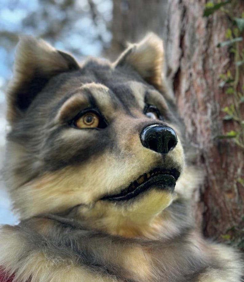 Realistic Wolf Mask. Realistic Fursuit Wolf Mask - Etsy