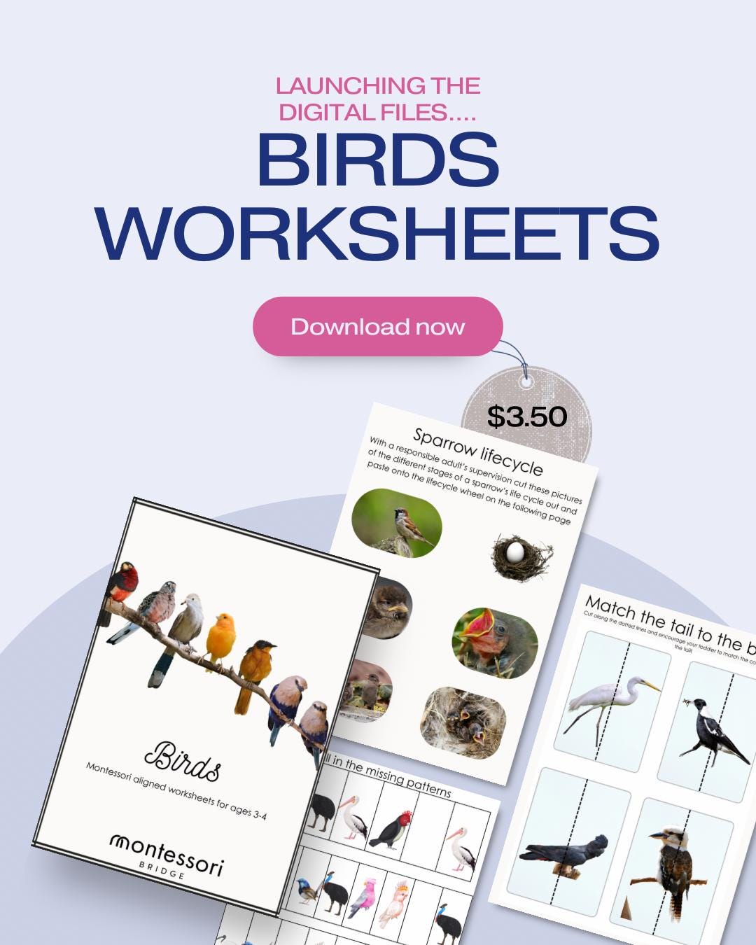 Australian Birds Montessori Printable Pack: Ages 3–4 - Etsy