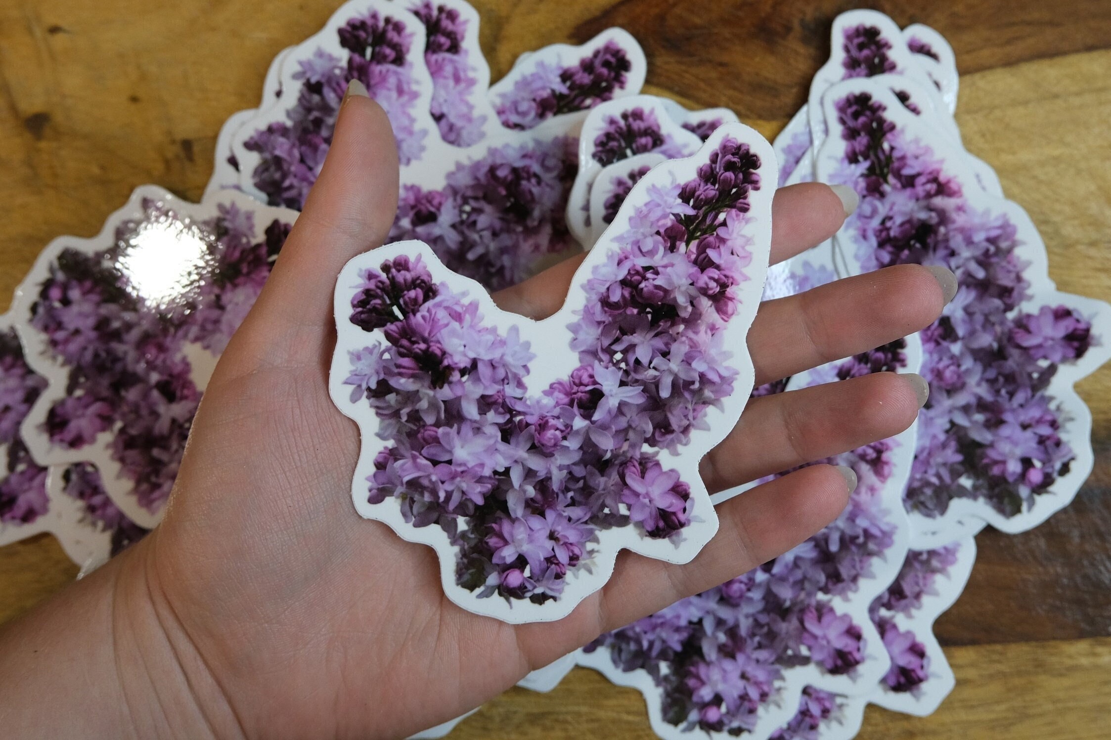 Purple Lilac Sticker W/ White Background, Lilac Sticker, Floral Sticker ...