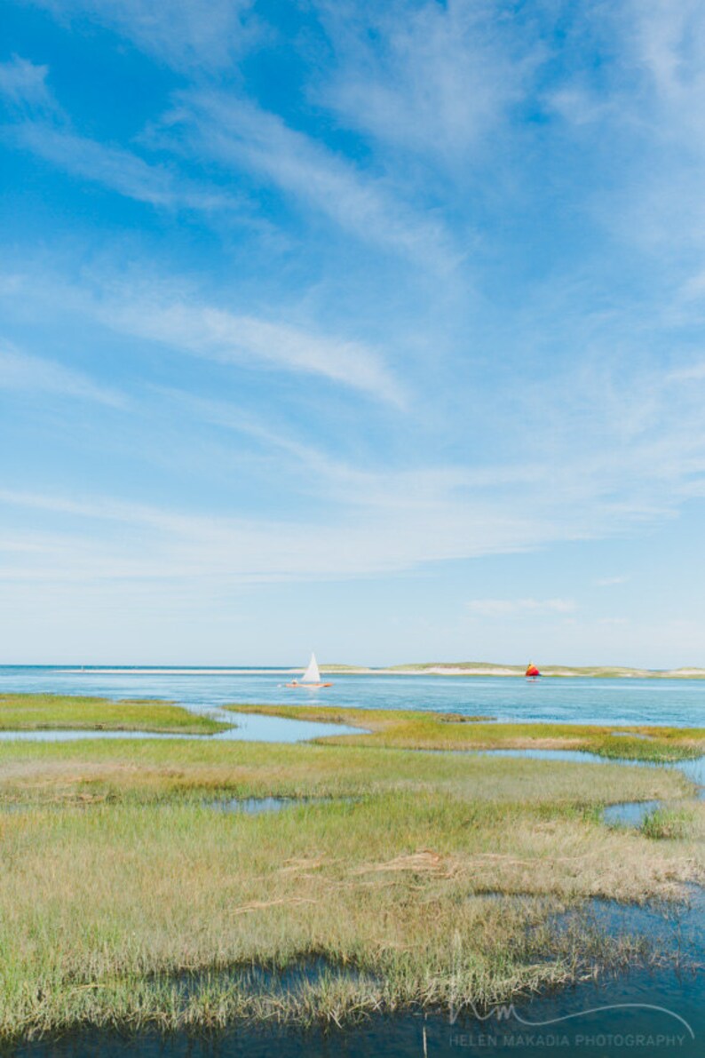 Nature Print Set, Four Seasons of New England, Cherry Blossoms, Winter ...