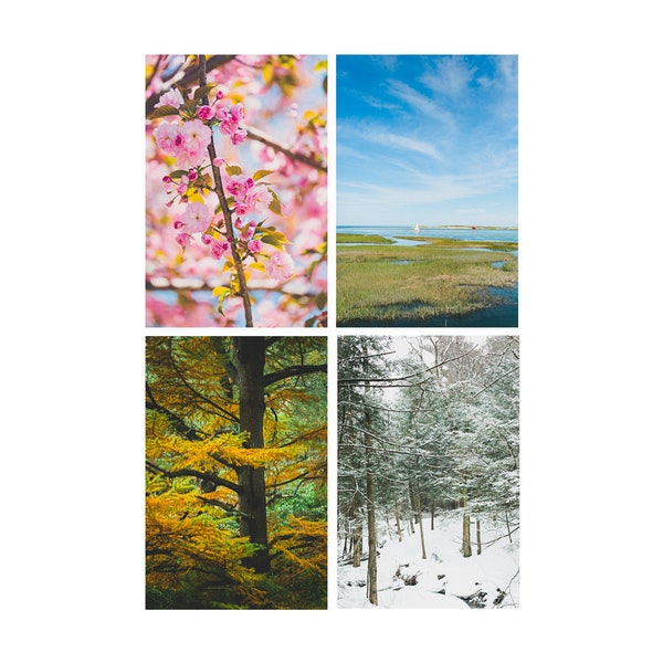 4 Seasons Art - Etsy