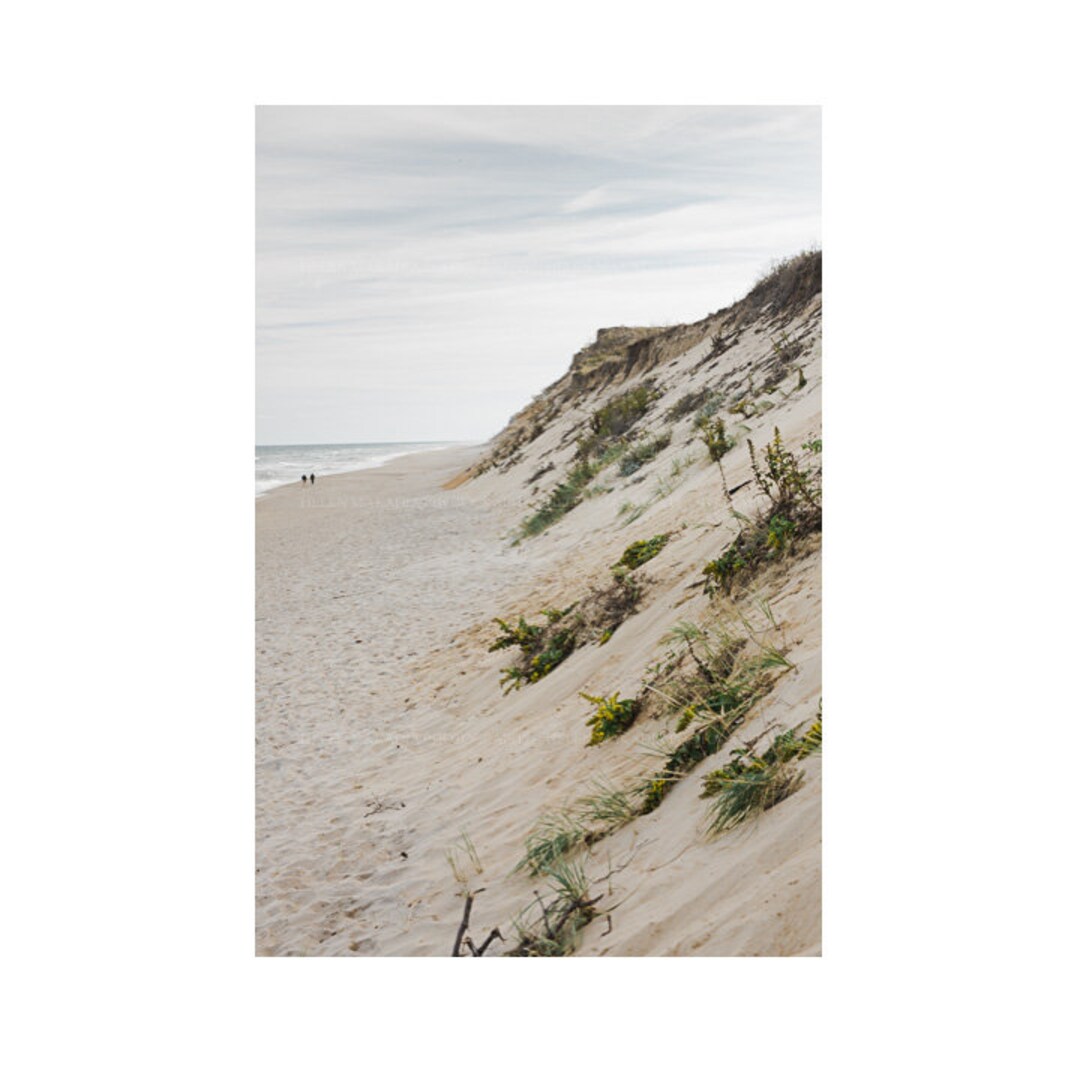 Buy Photograph of the Cliffs at Marconi Beach on Cape Cod, Neutral ...
