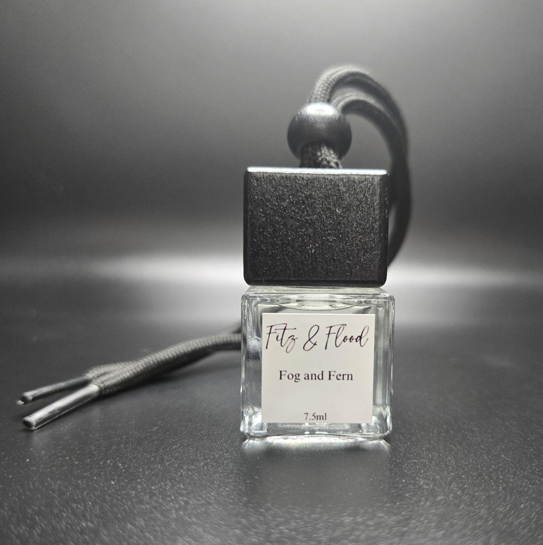 Car Diffusers - Etsy