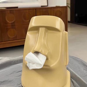 Funny Face Tissue Holder for Quirky Home Decor - Etsy