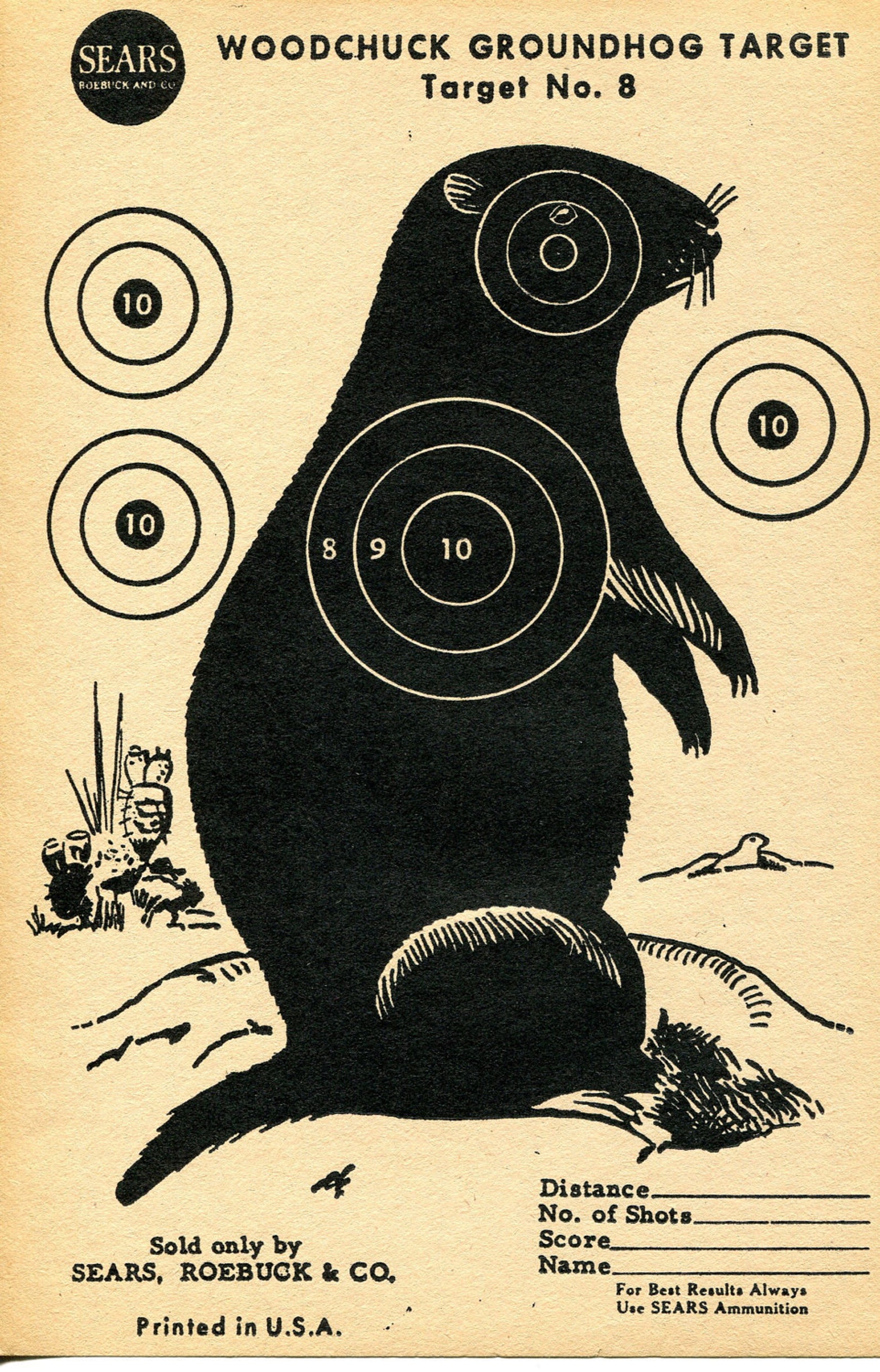 Vintage Shooting Target Groundhog III | Etsy