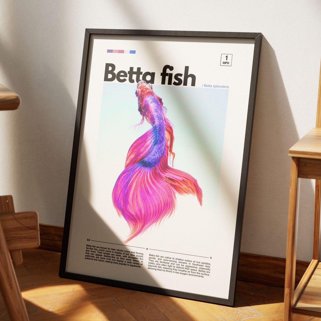 Modern Betta Fish Wall Art Print, Minimalist Fish Decor, Vibrant ...