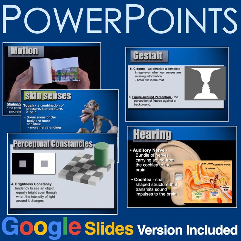 Sensation and Perception Unit: PPT, Worksheets, Guided Notes, Kahoot ...