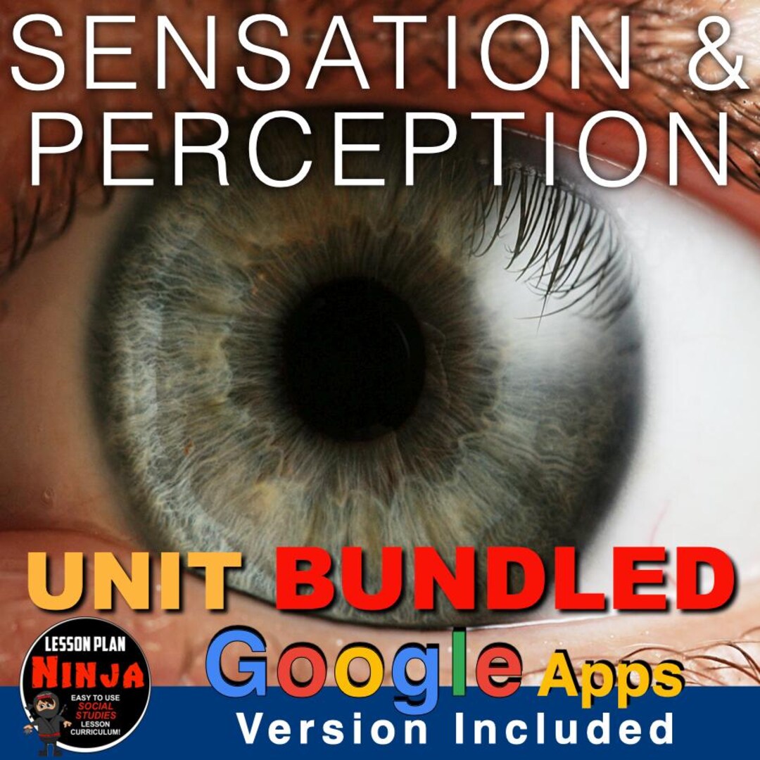 Sensation and Perception Unit: PPT, Worksheets, Guided Notes, Kahoot ...