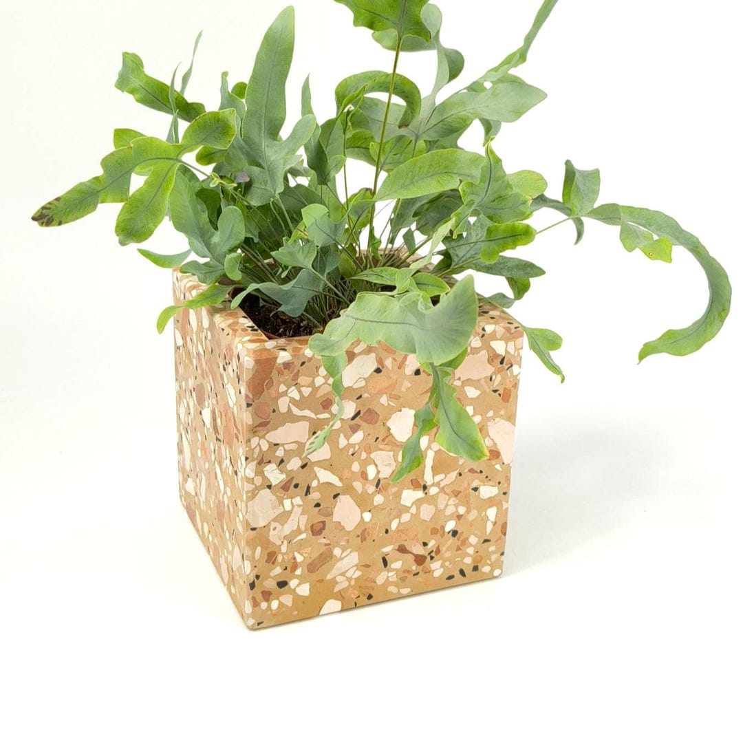 Handmade Terrazzo Planter | Modern Concrete Plant Pot - Etsy