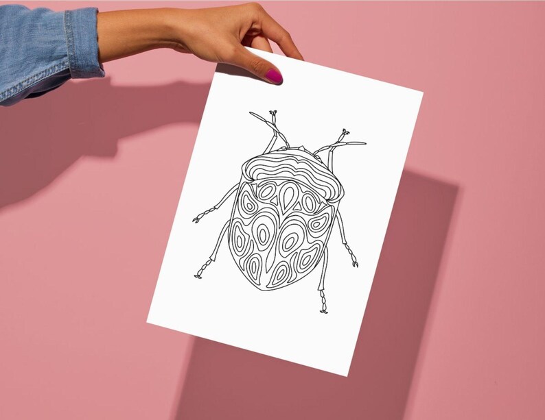 Zentangle Insect Mandala Coloring Book: Relaxing Art (printable PDF) - Etsy