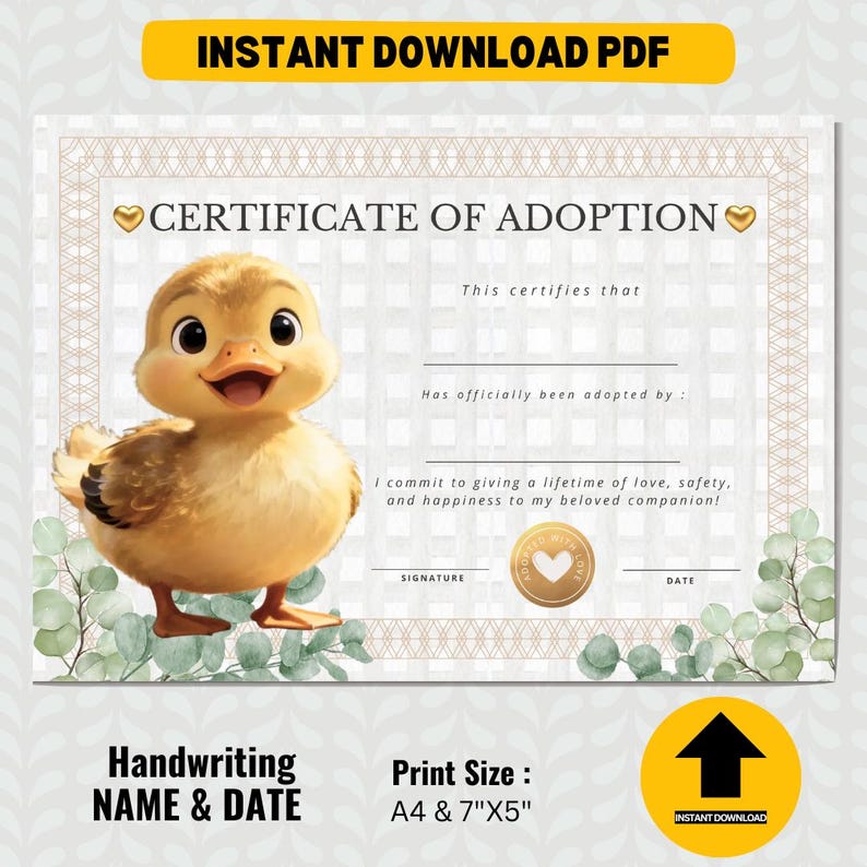 PRINTABLE DUCK ADOPTION Certificate Editable Canva Template ...