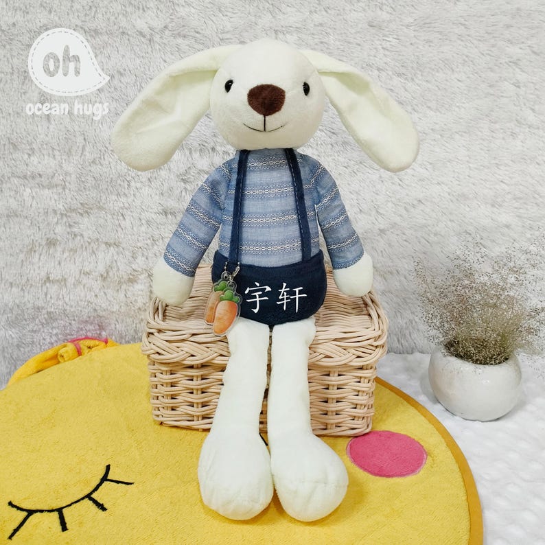 Personalized Chinese Letter Bunny Plush, Blue Red Rabbit With Custom ...