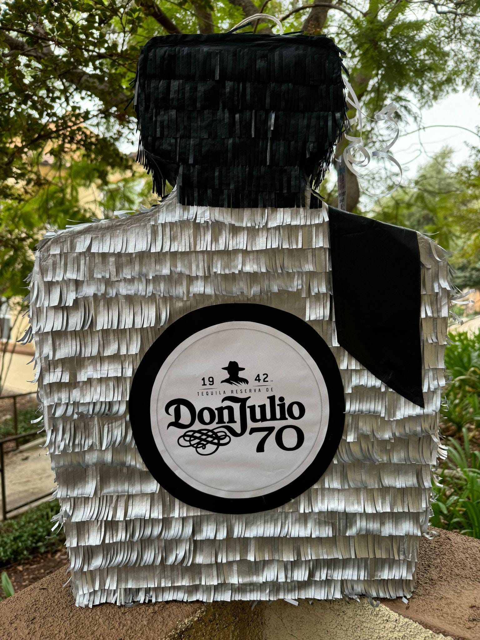 Botella Don Julio - Piñata De Don Julio - Tequila - Etsy