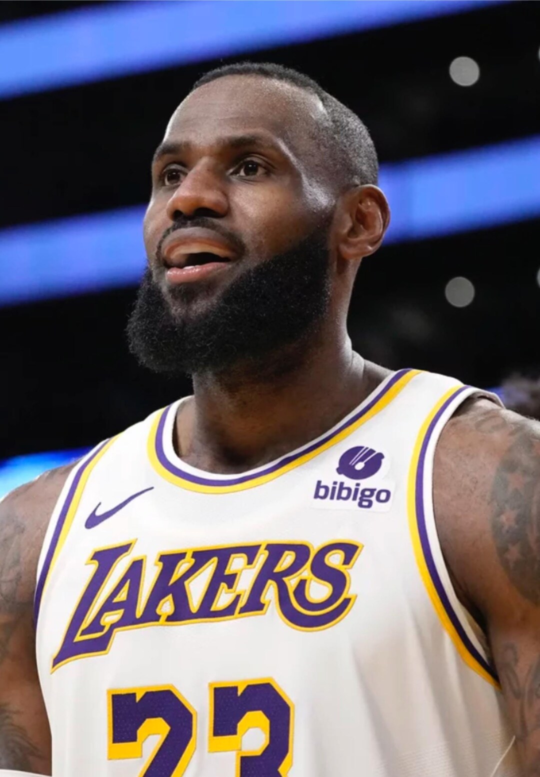 Lebron James Poster NBA Picture Lebron Photo LA Lakers Basketball ...
