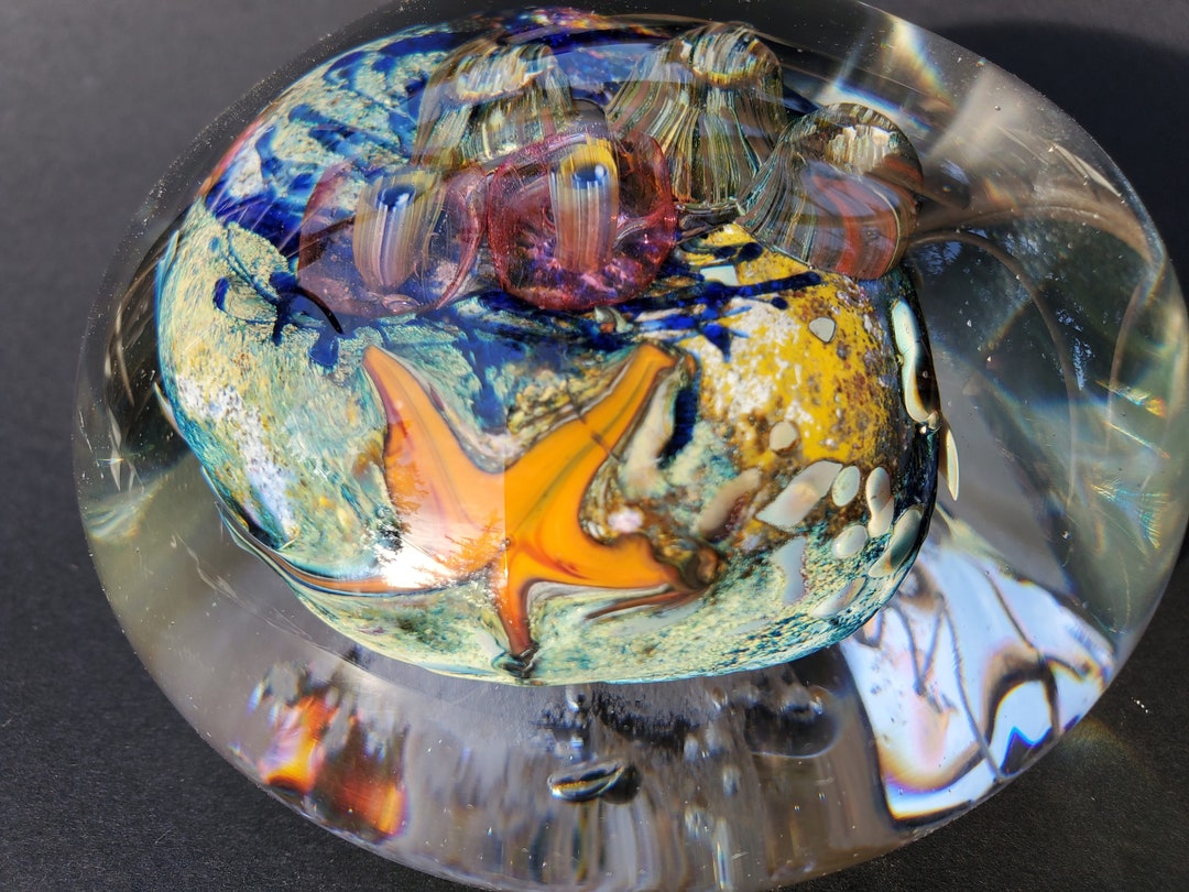 Sea Life Paper Weight, Tide Pool Paper Weight, Ocean Paper Weight ...