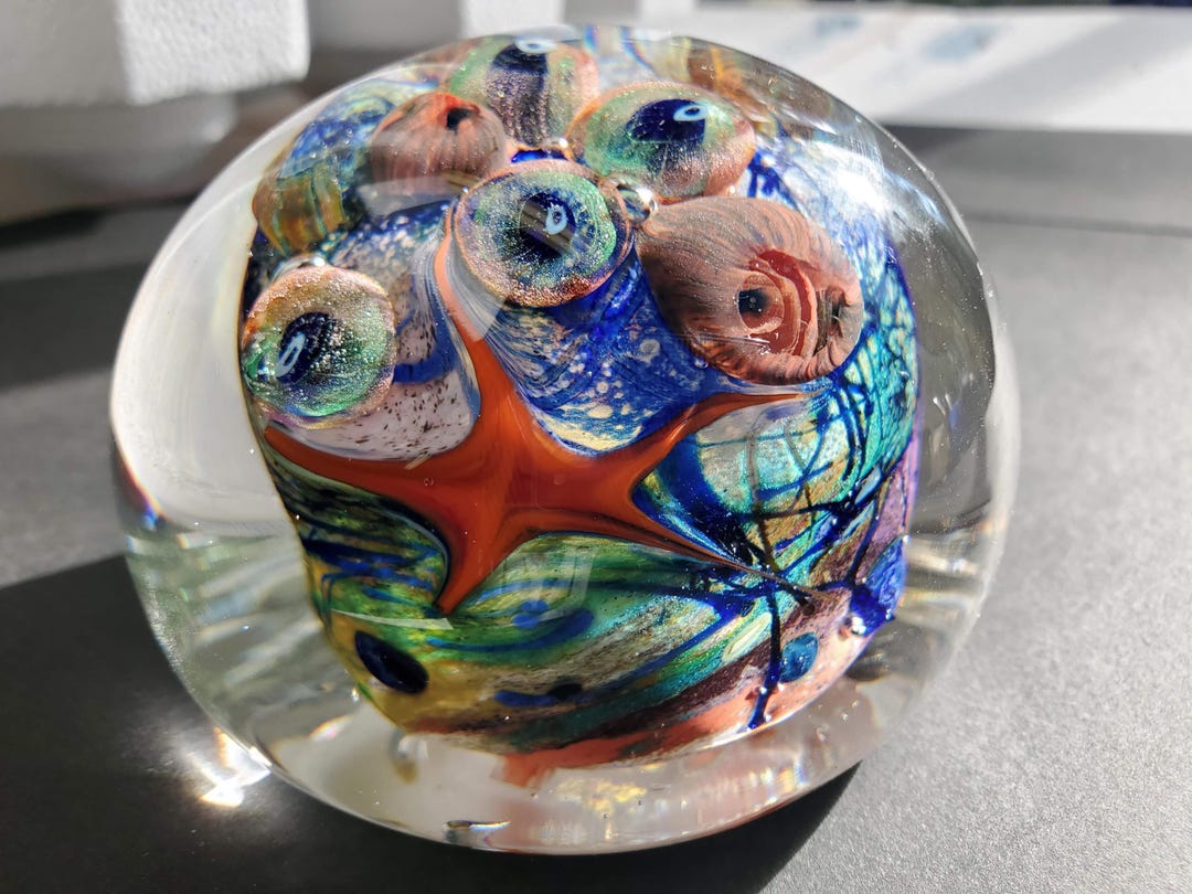 Sea Life Paper Weight, Tide Pool Paper Weight, Ocean Paper Weight ...
