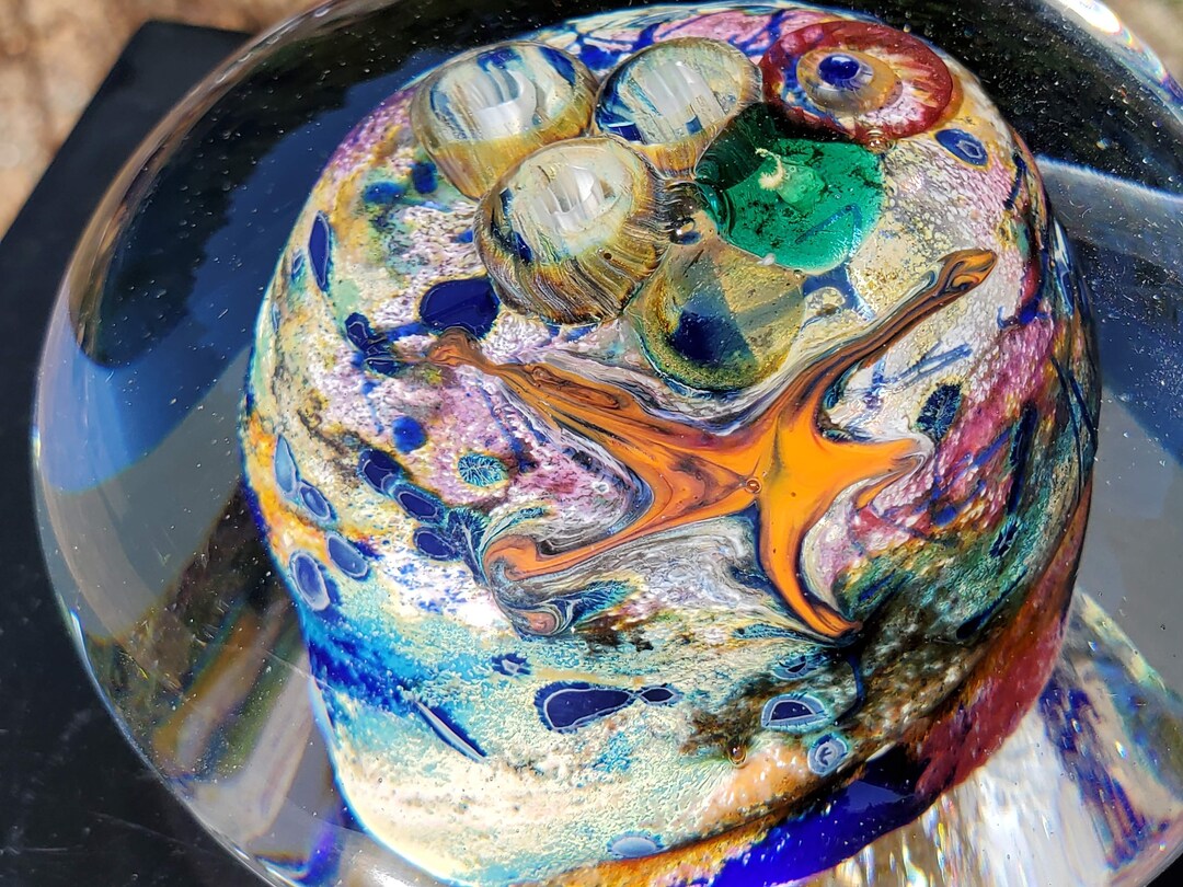 Sea Life Paper Weight, Tide Pool Paper Weight, Ocean Paper Weight ...