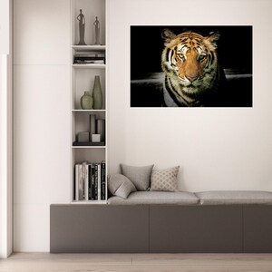 Animal Wall Art - Etsy