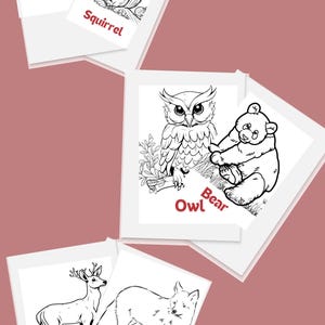 Animal-themed Coloring Pages - Etsy