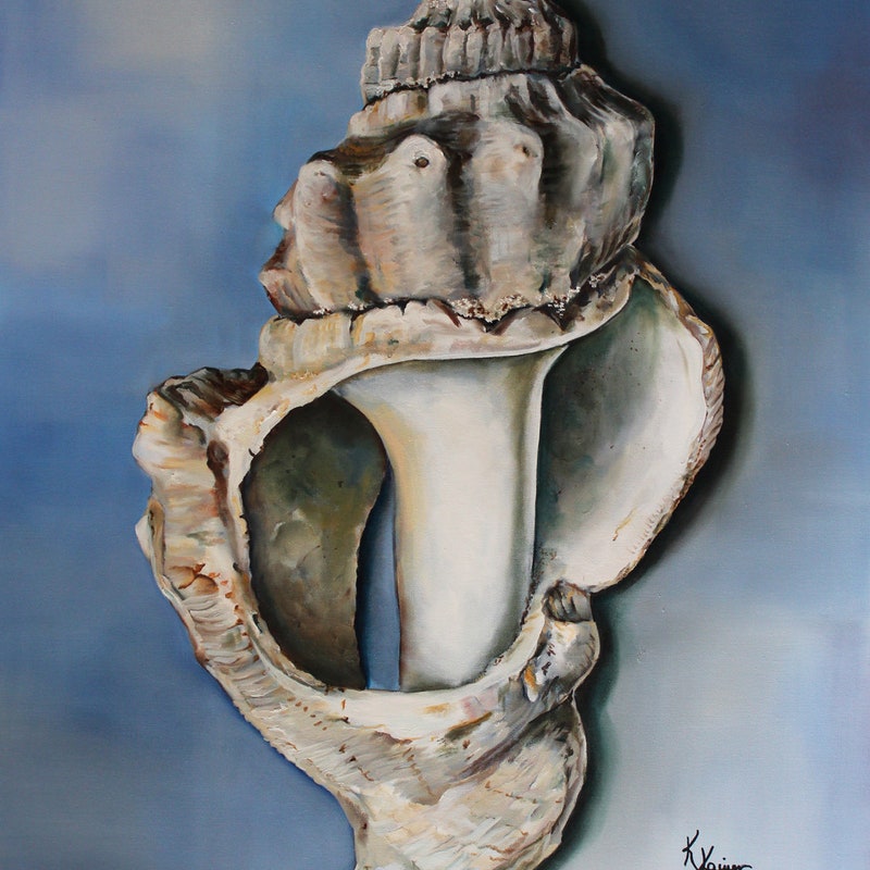 Drilled Seashells - Etsy