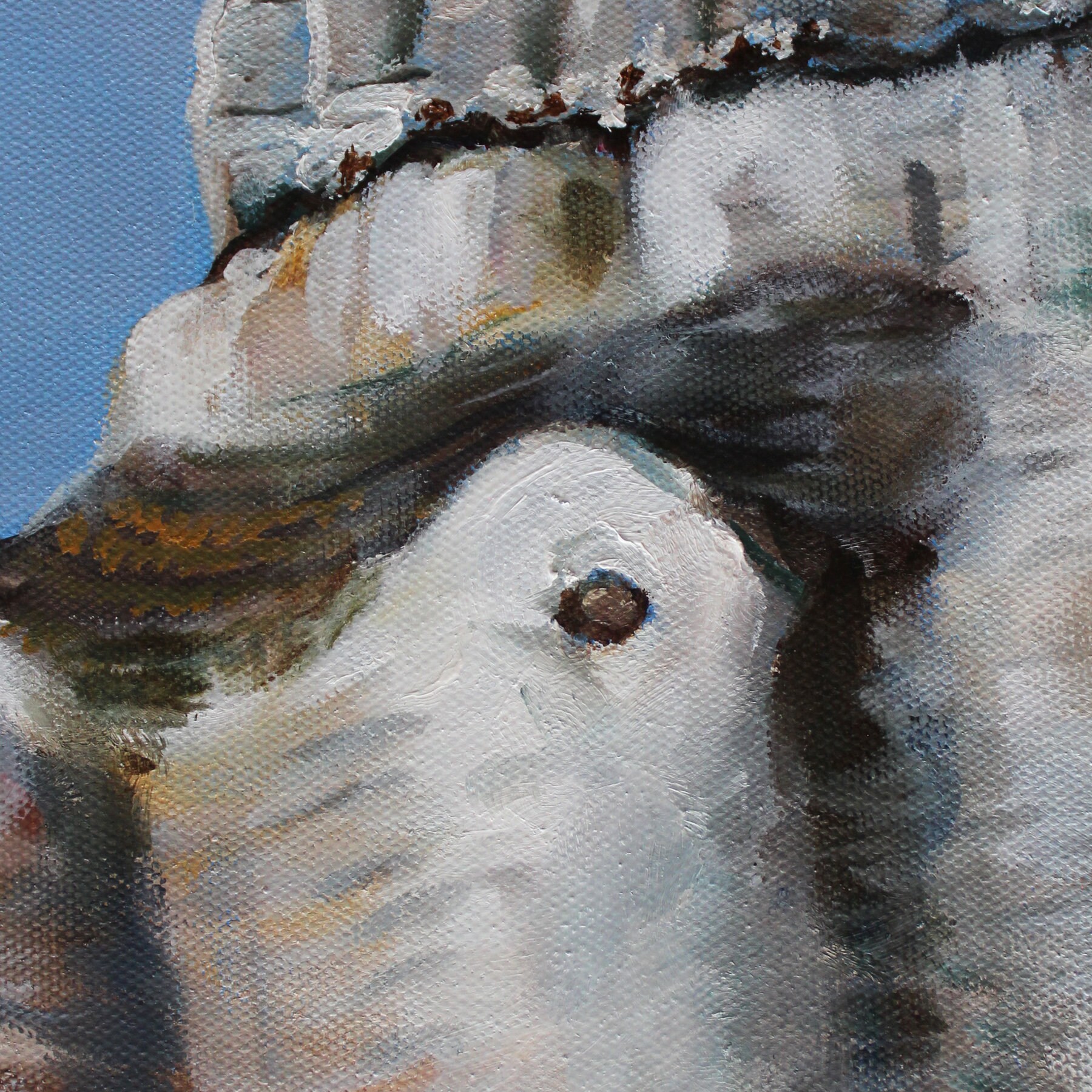 Broken Oyster Drill Seashell Shell ORIGINAL Oil Painting Coastal Decor ...