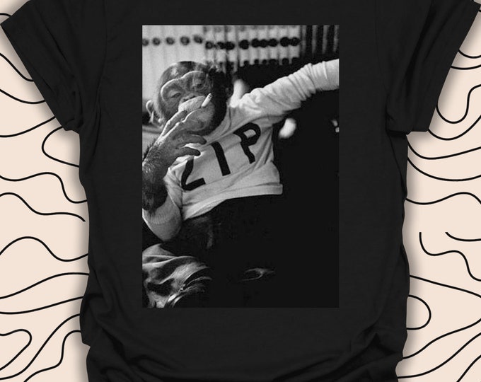 Vintage 50s Small Mr Bim Zip Zippy Monkey W/banana Plush Stuffed Animal ...