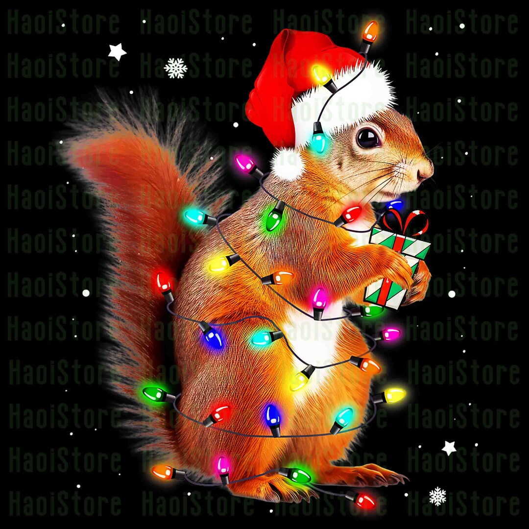 Squirrel Christmas Hat Santa Png, Squirrels Lover Xmas Png, Squirrel ...