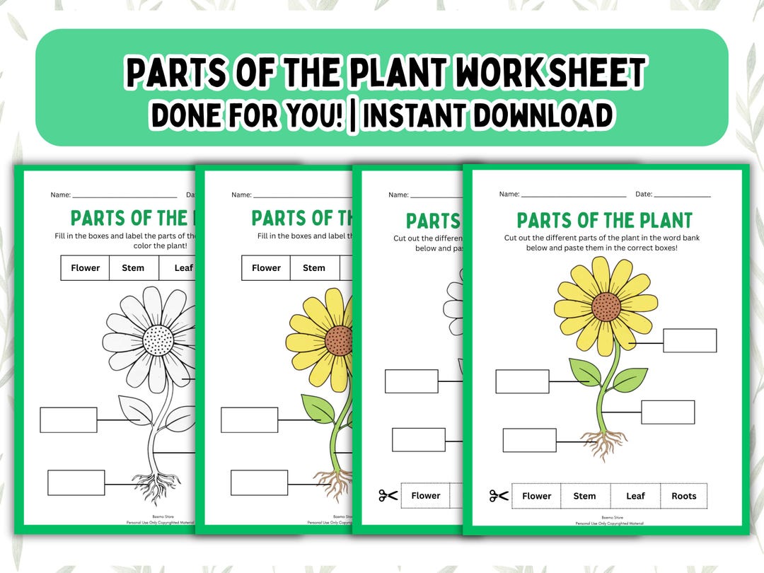 Parts of the Plant Worksheet Printable Science Worksheets for Kids ...