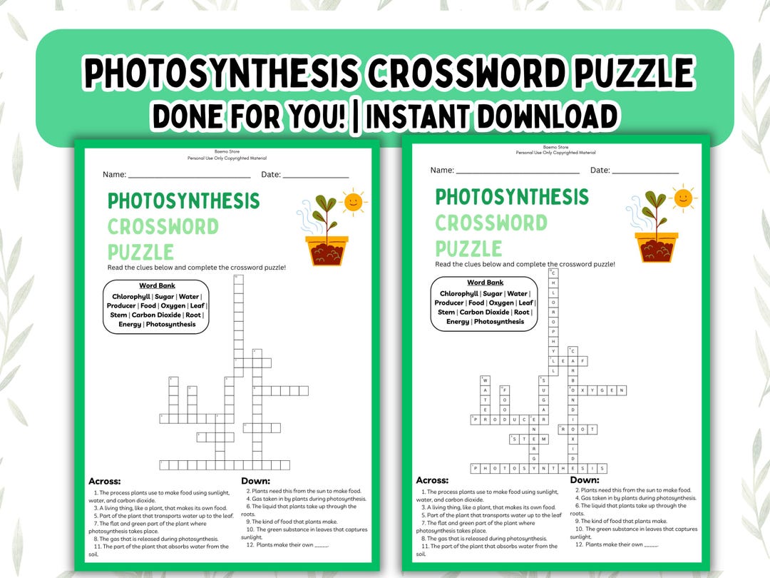 Photosynthesis Crossword Puzzle Printable Science Worksheets for Kids ...