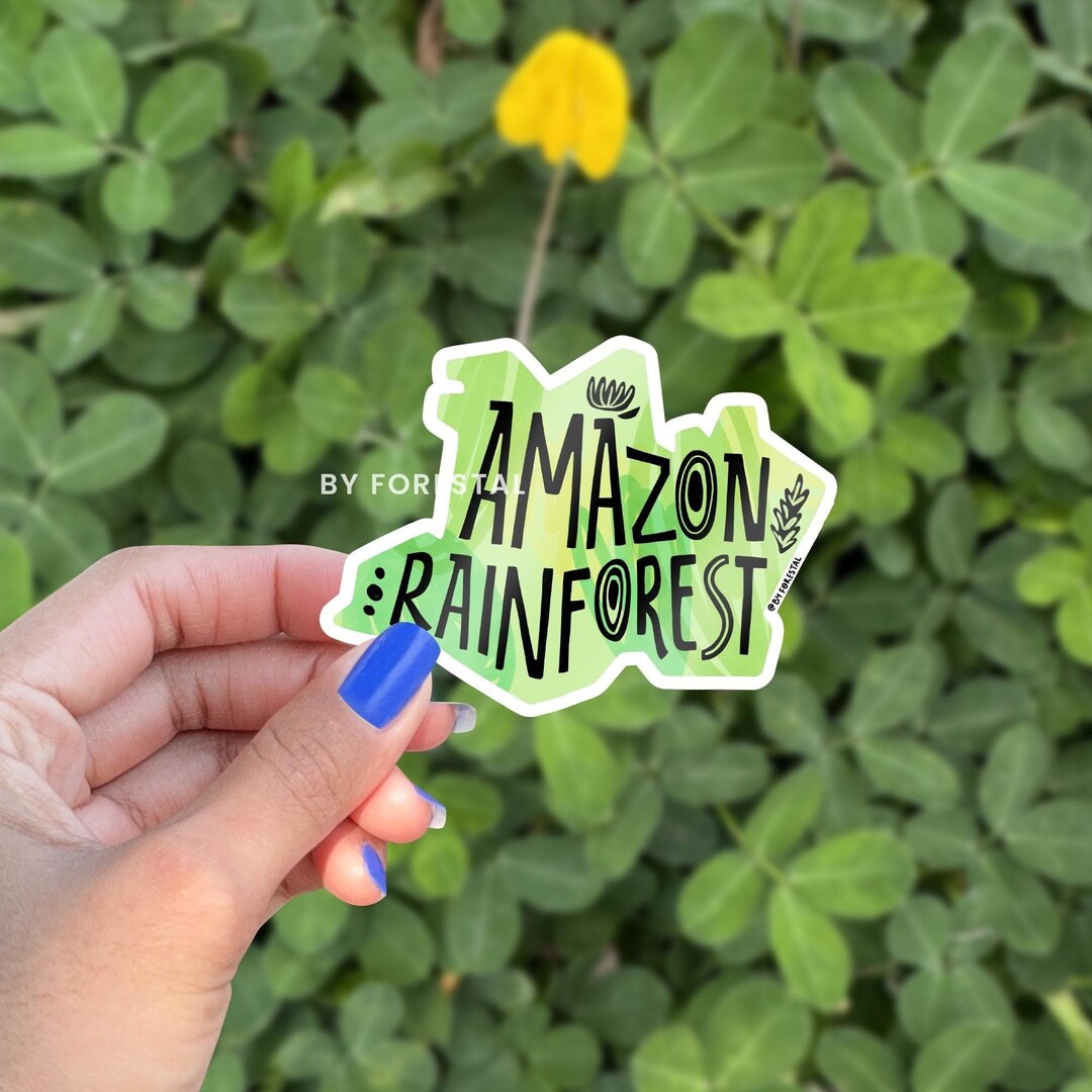Amazon Rainforest Sticker | Jungle Decal - Etsy